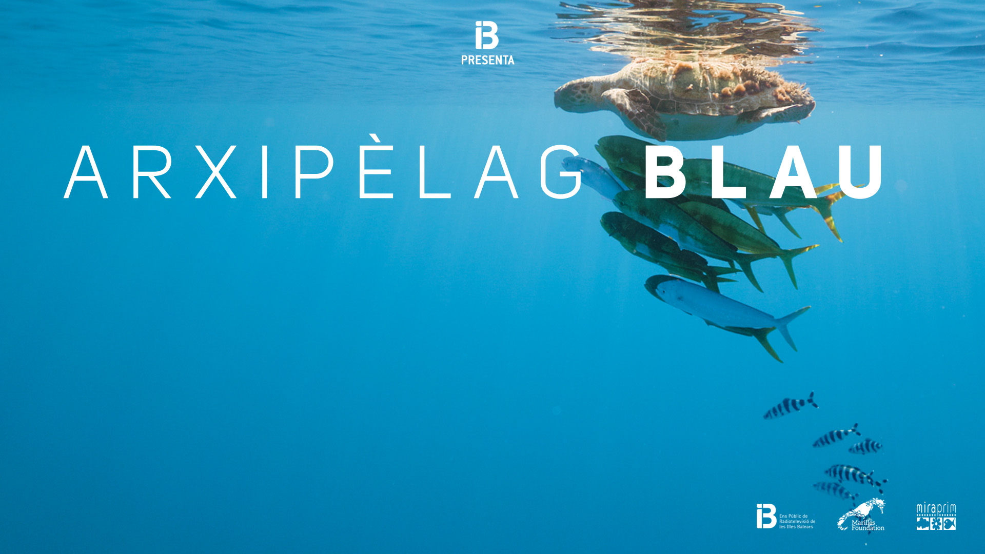 IB3 | Arxipèlag Blau, disponible a la carta